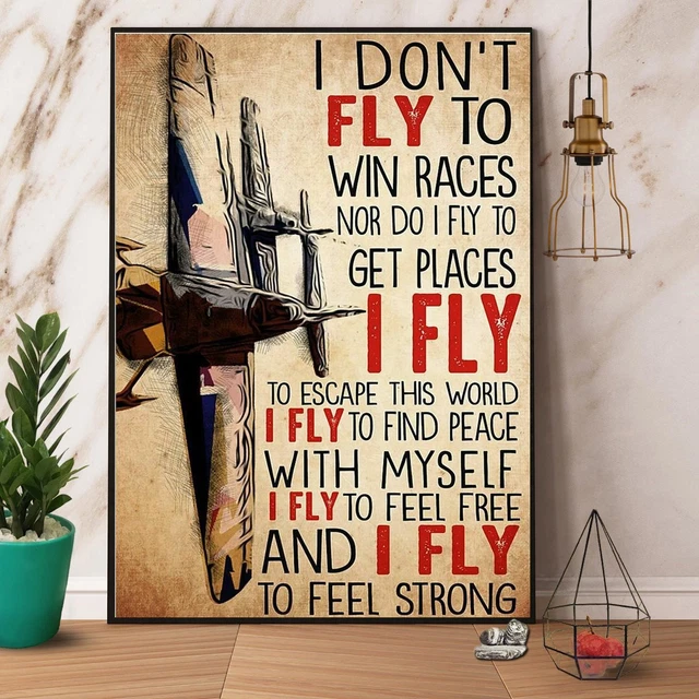 Air Race I Don'T Fly To Win Race I Fly To Find Peace & Feel Strong ...