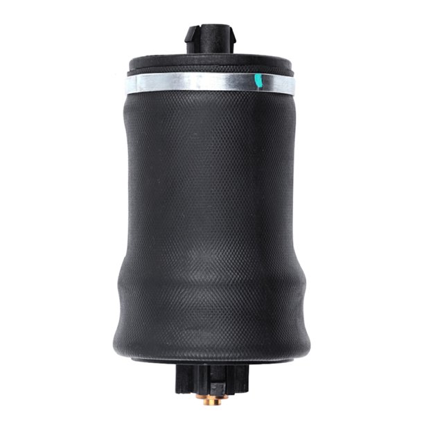 Air Suspensions Spring s Replacement W02-358-7206 Strut Shock Absorber ...