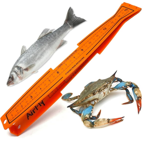 Fish Measuring Board