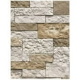 AirStone Primary Stones: Autumn Mountain Color Blend, Manufactured ...