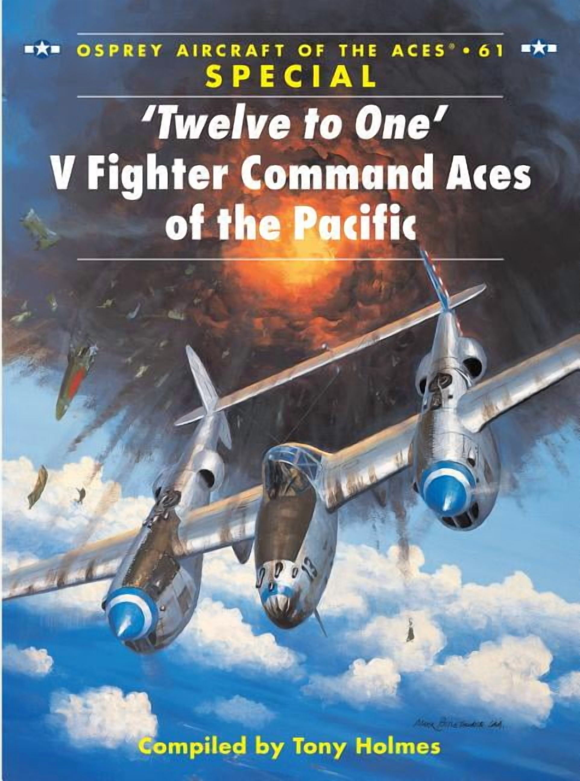 Aircraft of the Aces: ‘Twelve to One’ V Fighter Command Aces of the ...