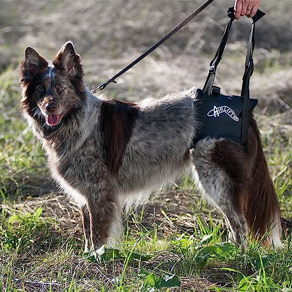 Airlift One Back end Support Lift Harness, Soft Padded Leg Holes with ...