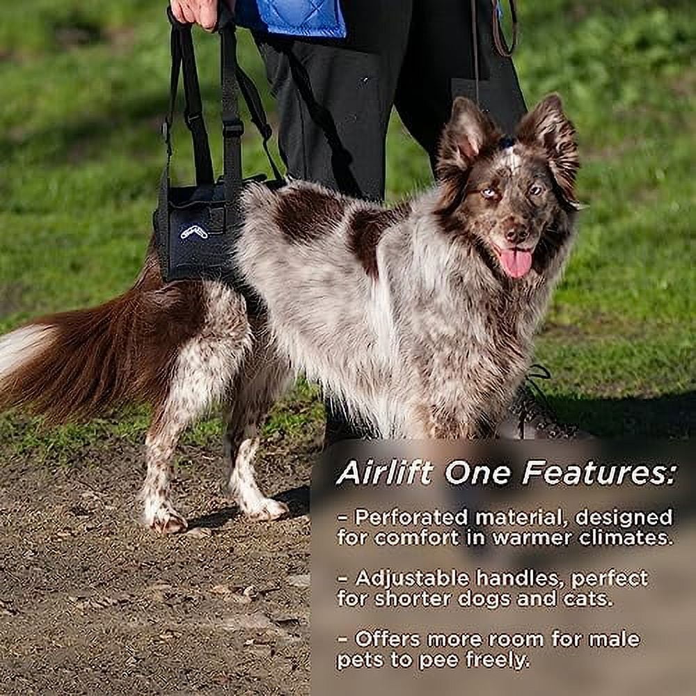 Airlift One Back end Support Lift Harness, Soft Padded Leg Holes with ...