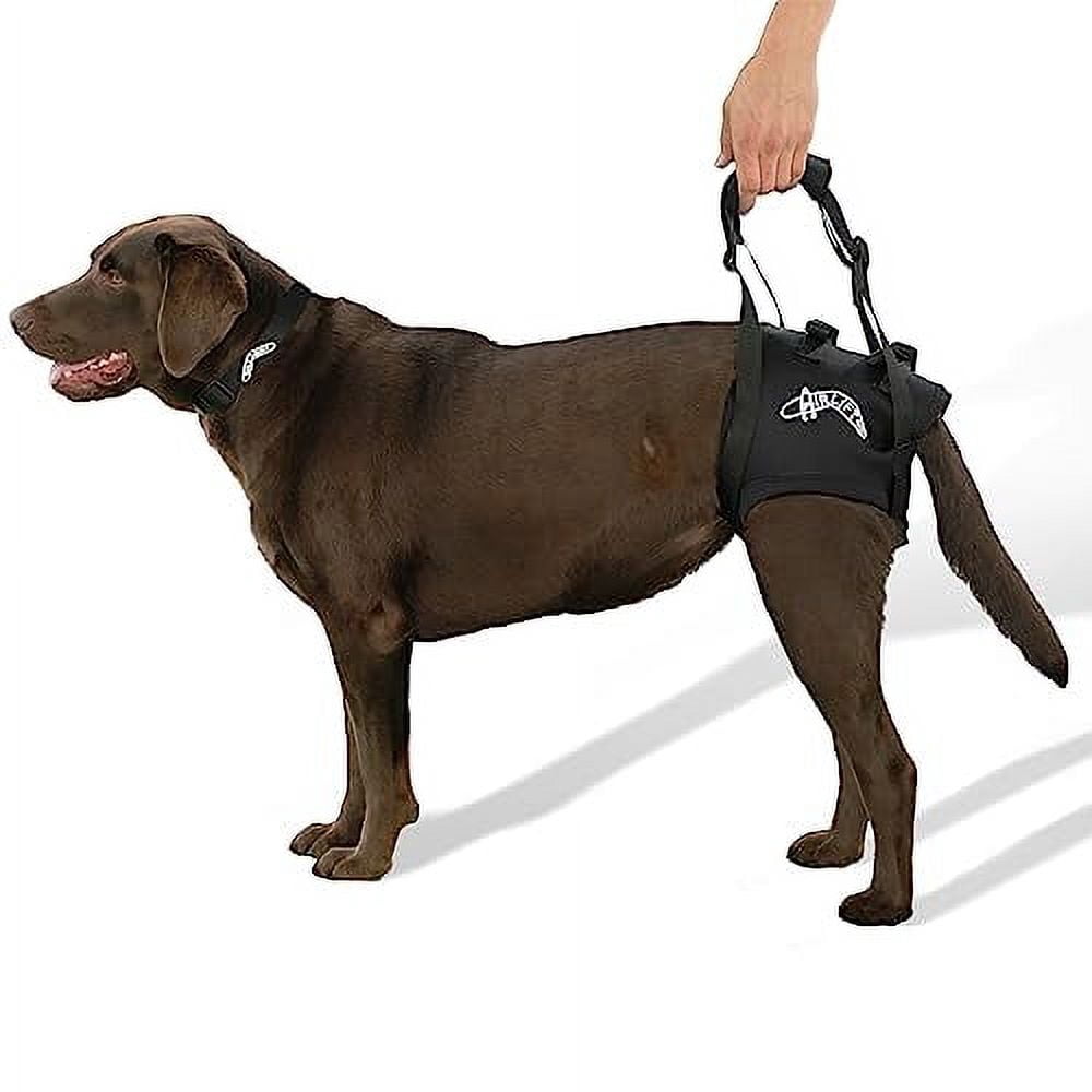 Airlift One Back end Support Lift Harness, Soft Padded Legs with ...