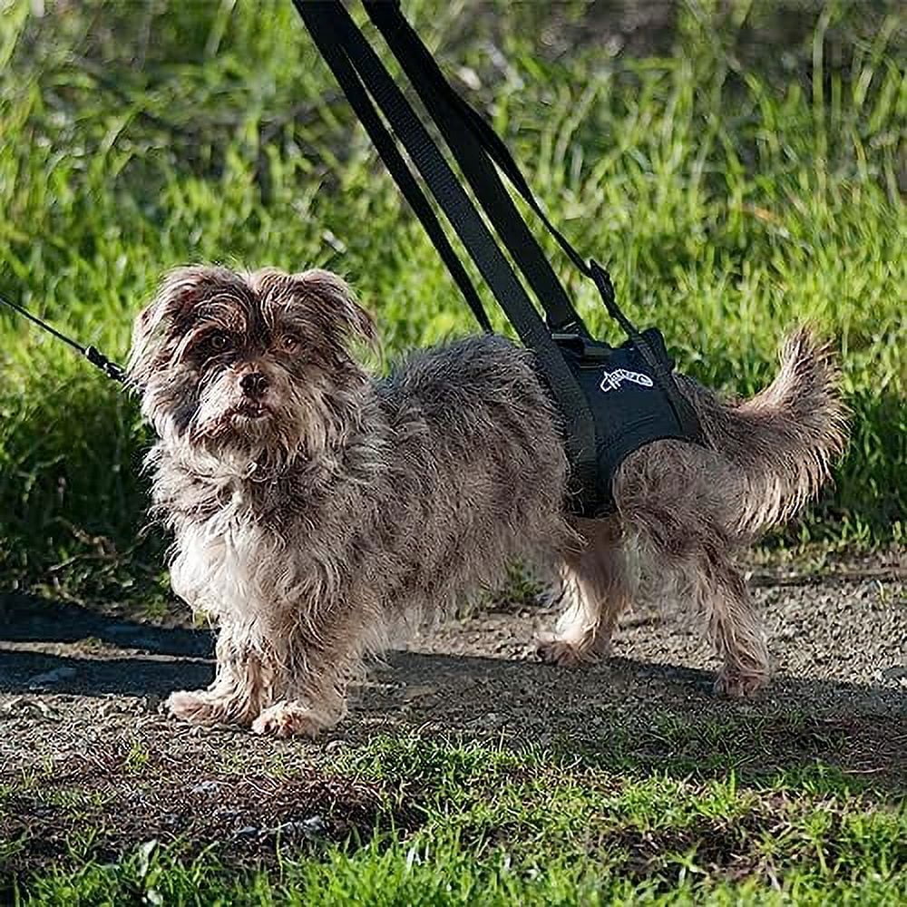 Airlift One Back end Support Lift Harness, Soft Padded Legs with ...