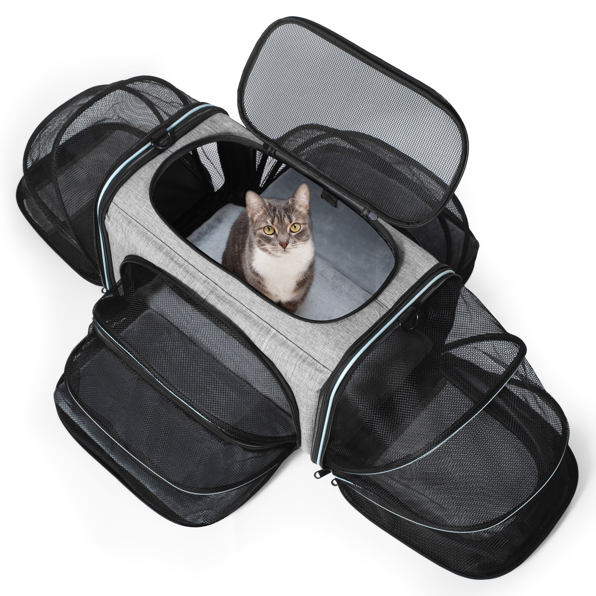 Airline-Approved Cat Carrier, 4-Sided Expandable and Collapsible Pet ...