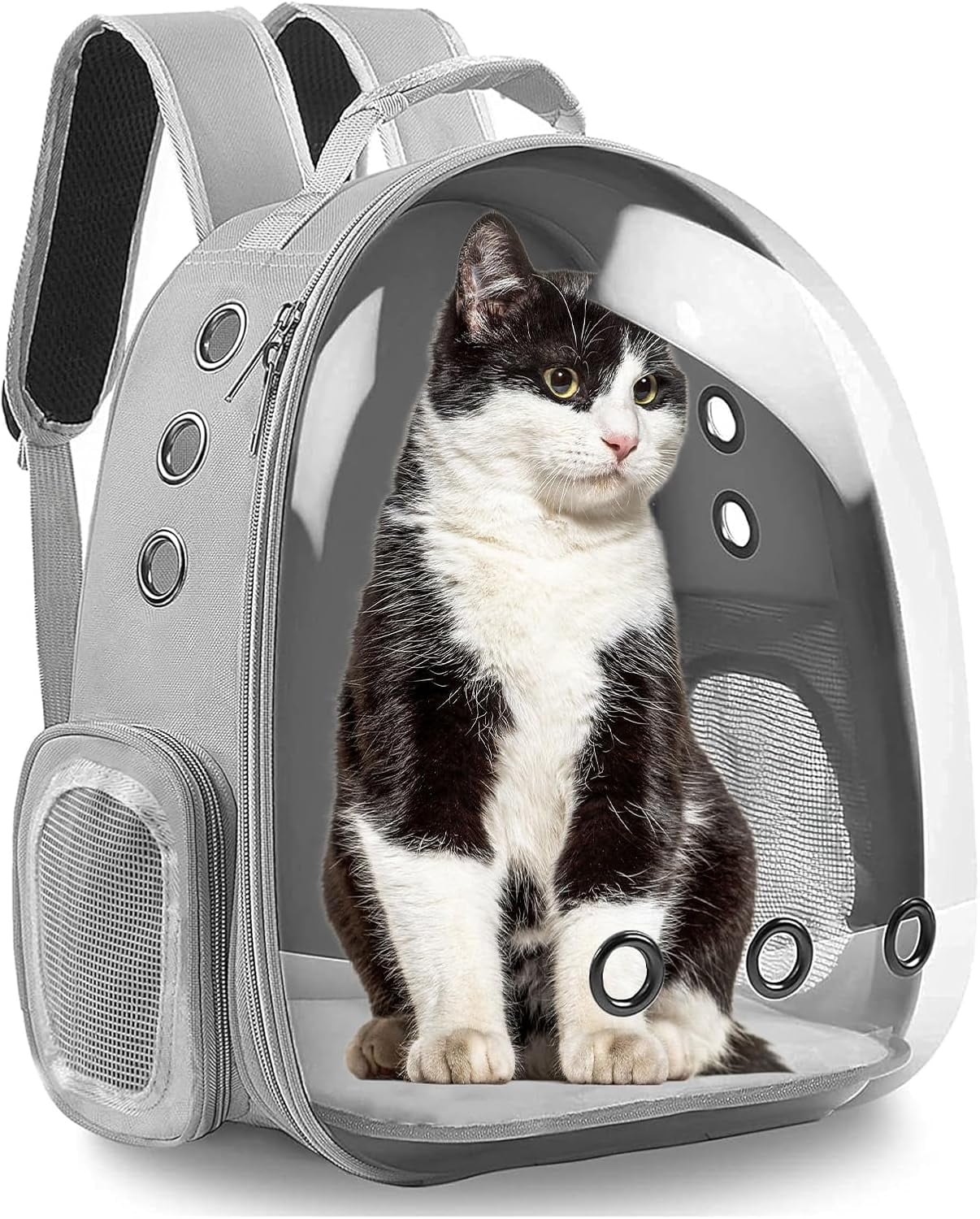 Airline-Approved Cat & Small Dog Backpack Carrier – Transparent Bubble ...