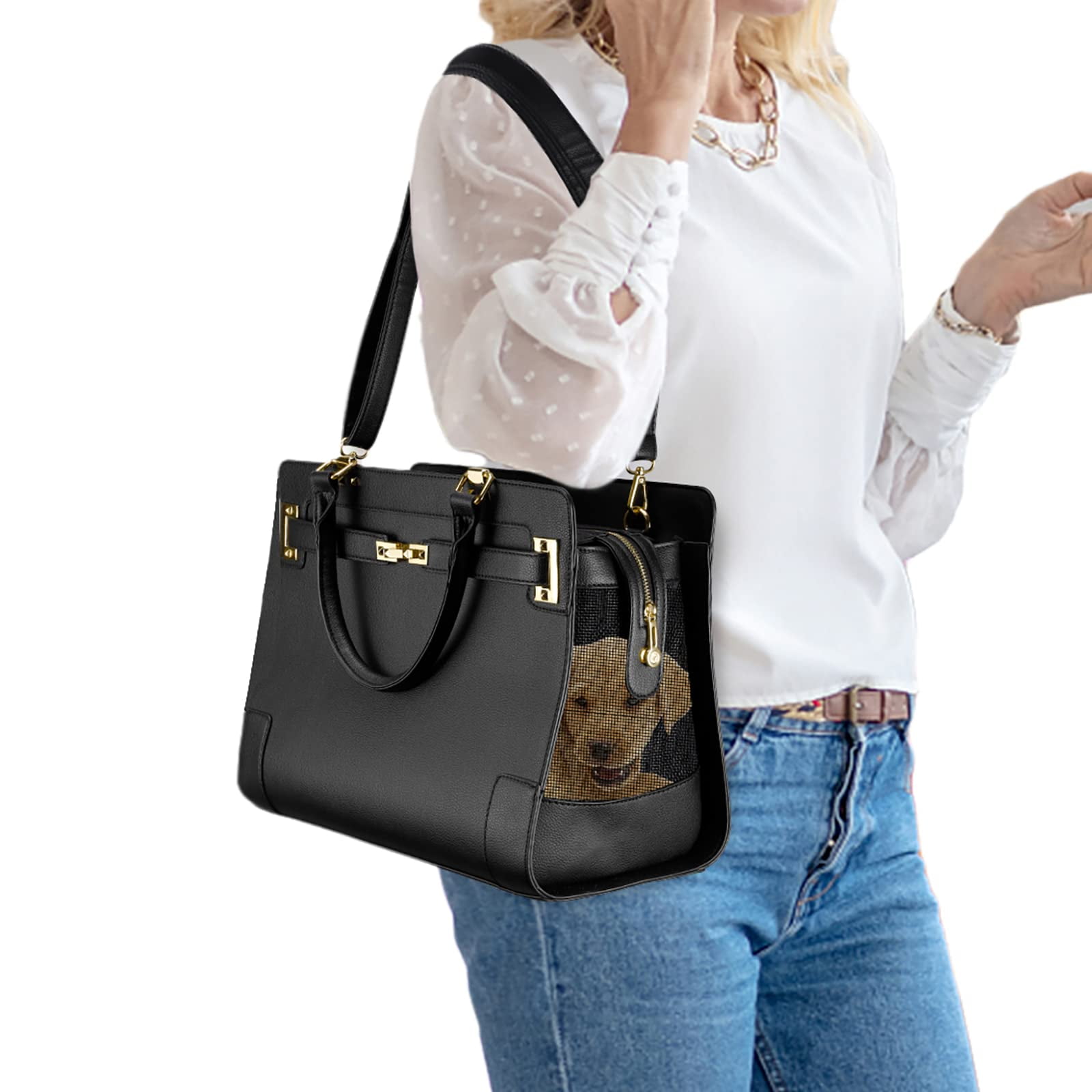 Airline Approved Pet Carrier Tote - Lightweight Breathable Purse for ...