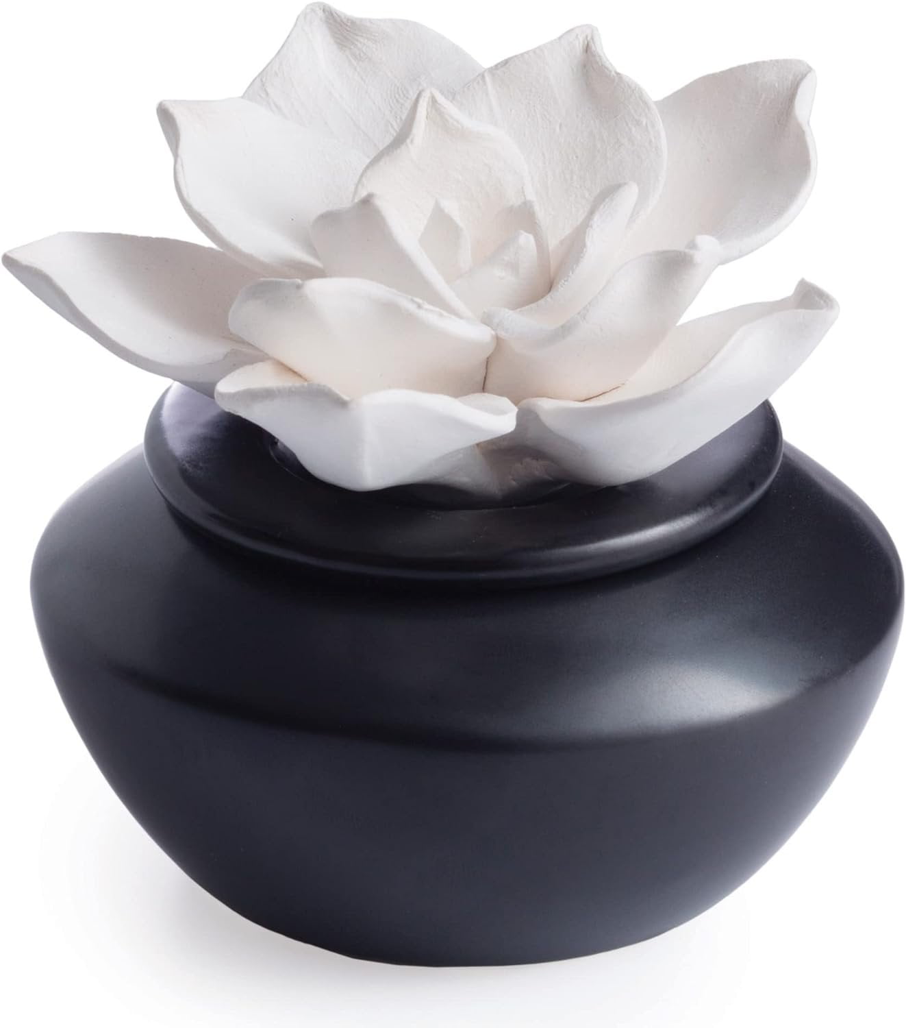 Airom Gardenia Passive White Porcelain Diffuser, Non-Electric, Battery ...
