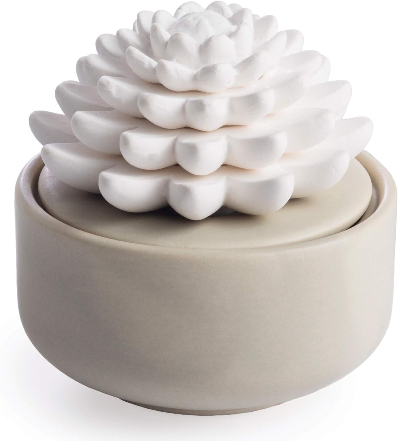 Airom Succulent Passive White Porcelain Diffuser, Non-Electric, Battery ...