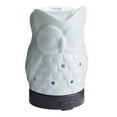 Airome 100 mL Ultrasonic Essential Oil Diffuser, White Porcelain Owl - Walmart.com