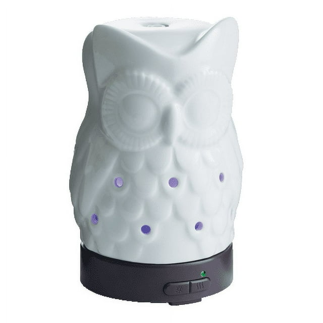 Airome 100 mL Ultrasonic Essential Oil Diffuser, White Porcelain Owl - Walmart.com