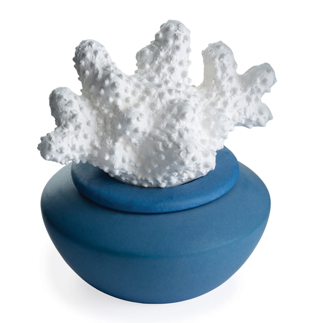 Airome Porcelain Passive Diffuser, White Coral and Blue - Walmart.com