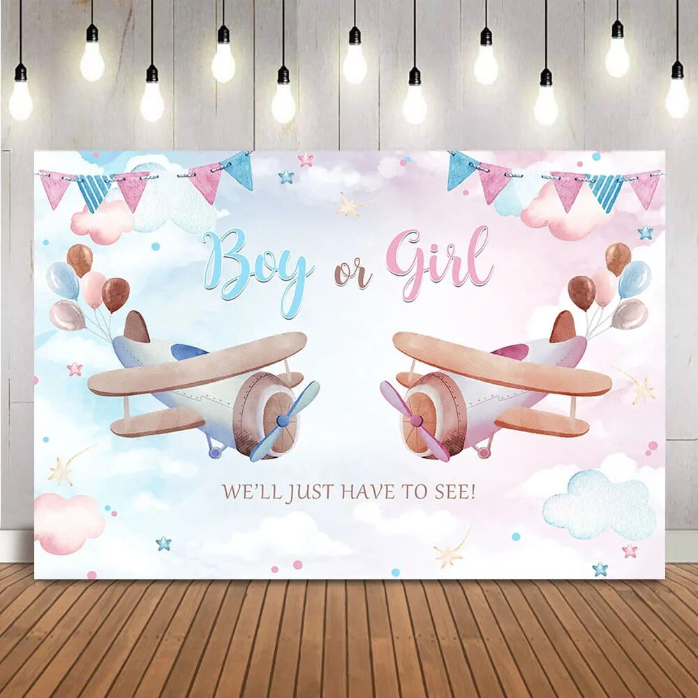 Airplane Gender Reveal Backdrop Boy Or Girl Gender Reveal Party ...