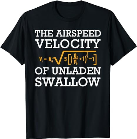 Airspeed Velocity Of An Unladen Swallow | Funny Mathematics T-Shirt ...