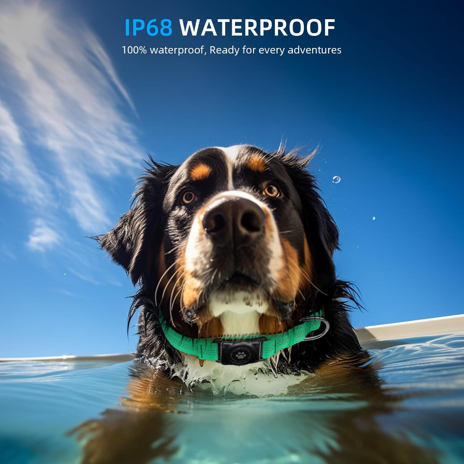 Airtag Dog Collar, Ip68 Waterproof Air Tag Dog Collar Holder ...