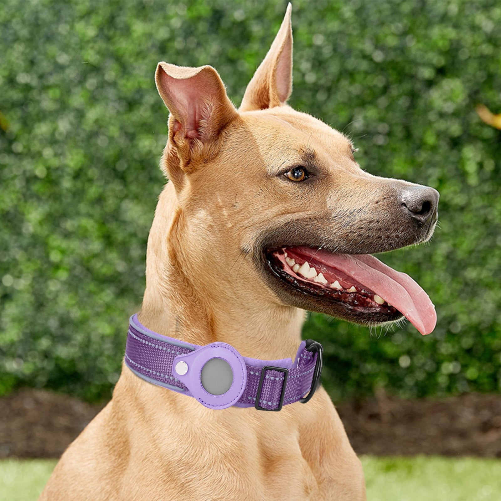 Airtag Tracking Cover for Dog Positioning Training Nylon Pet Collars ...
