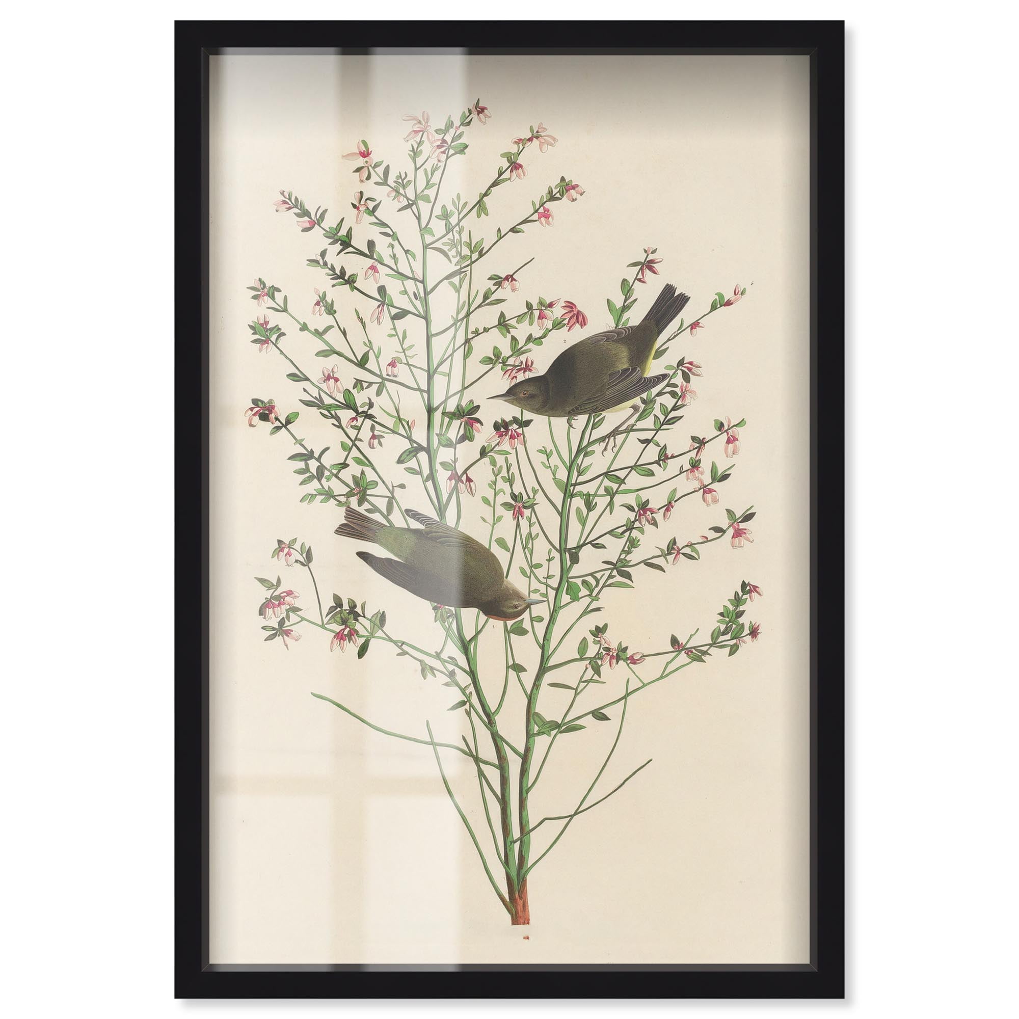 Airy Thicket Shadowbox Print Botanical Art by Art Remedy, Black Frame ...