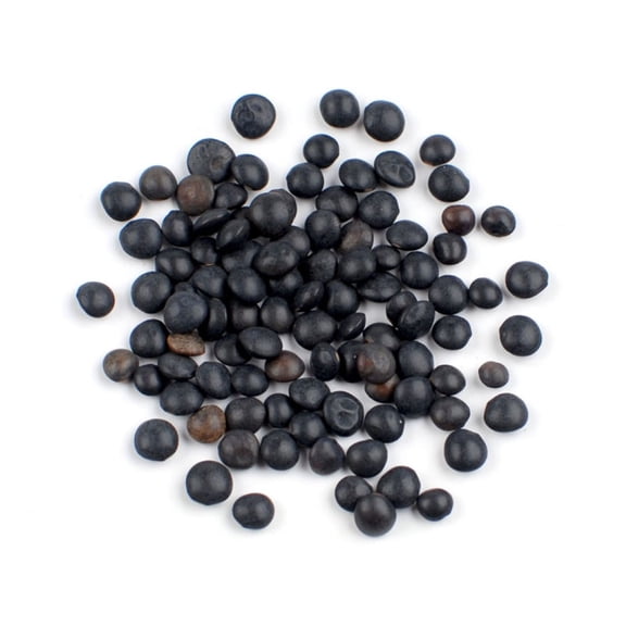 Beluga Lentils