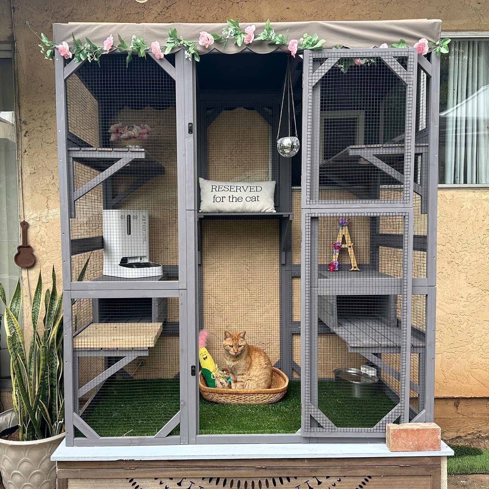 Aivituvin Cat House Outdoor Catio Kitty Enclosure with Super Large ...