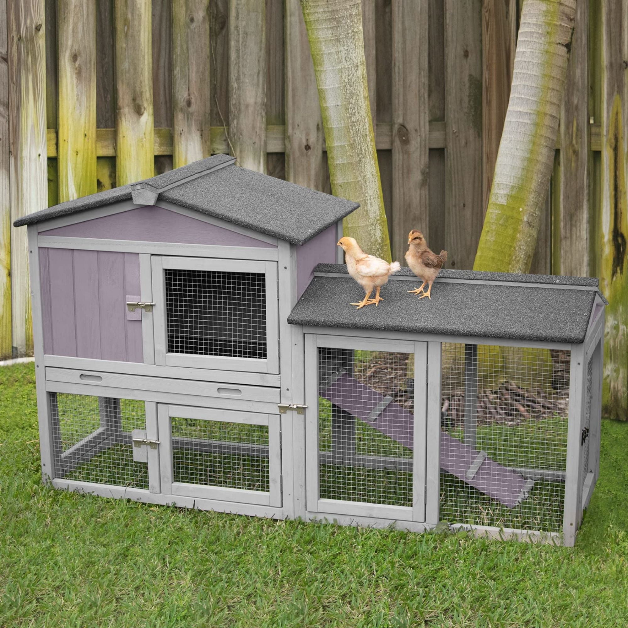 Aivituvin Chicken Coop for 2 Chickens, Wooden Duck House Outdoor Hen ...