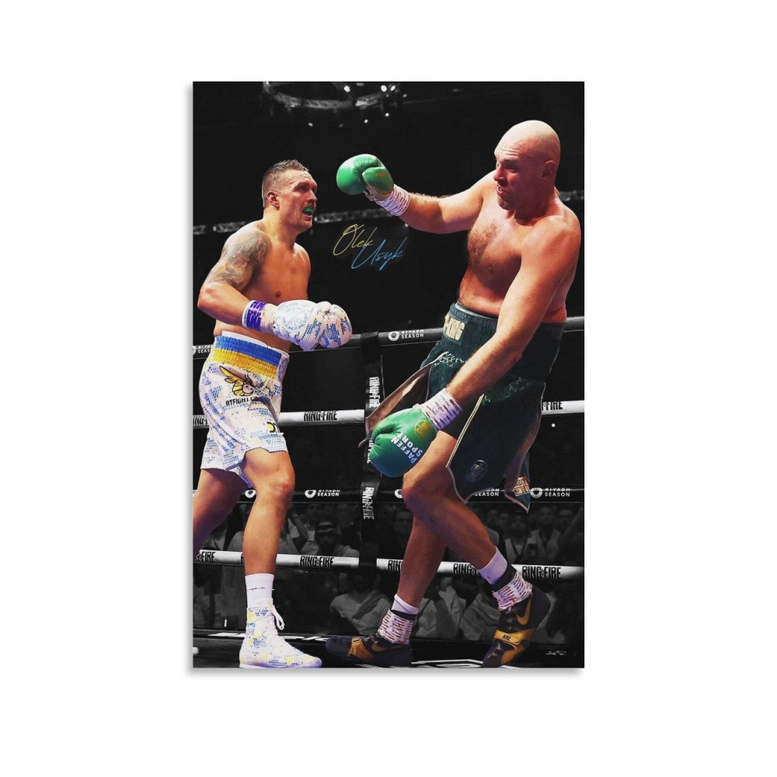 Aixiaojin Alexander Usyk Professional Boxer Poster (26) Gifts Canvas ...