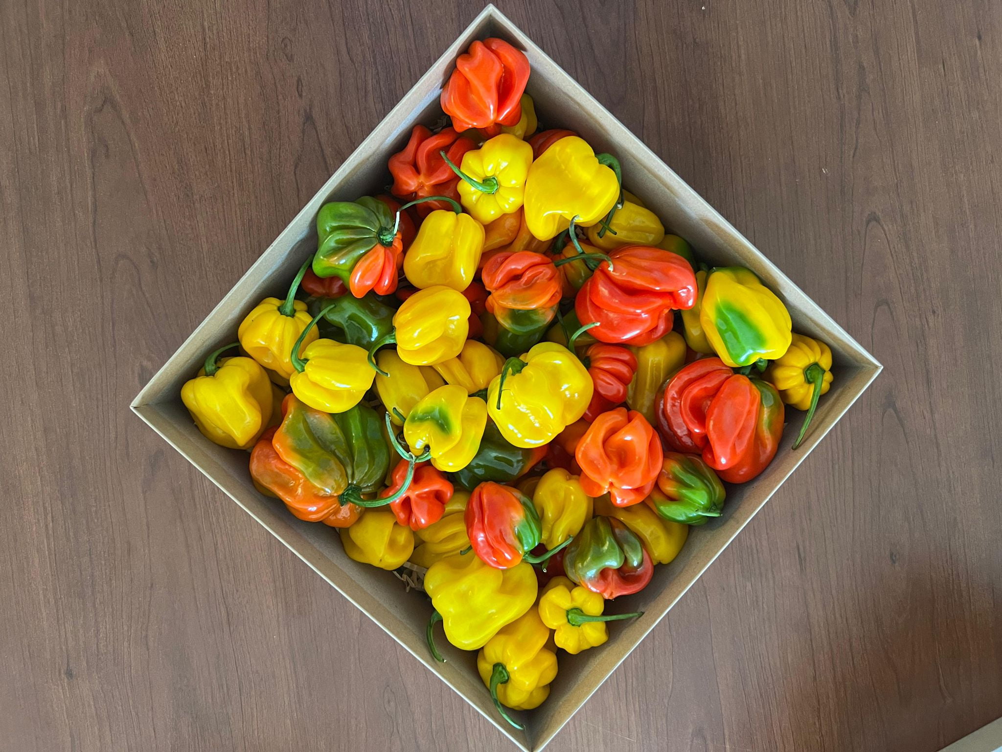 Aji Dulce, Aji Cachucha, Ajicito, Sweet Chili Peppers, Sweet Caribbean ...