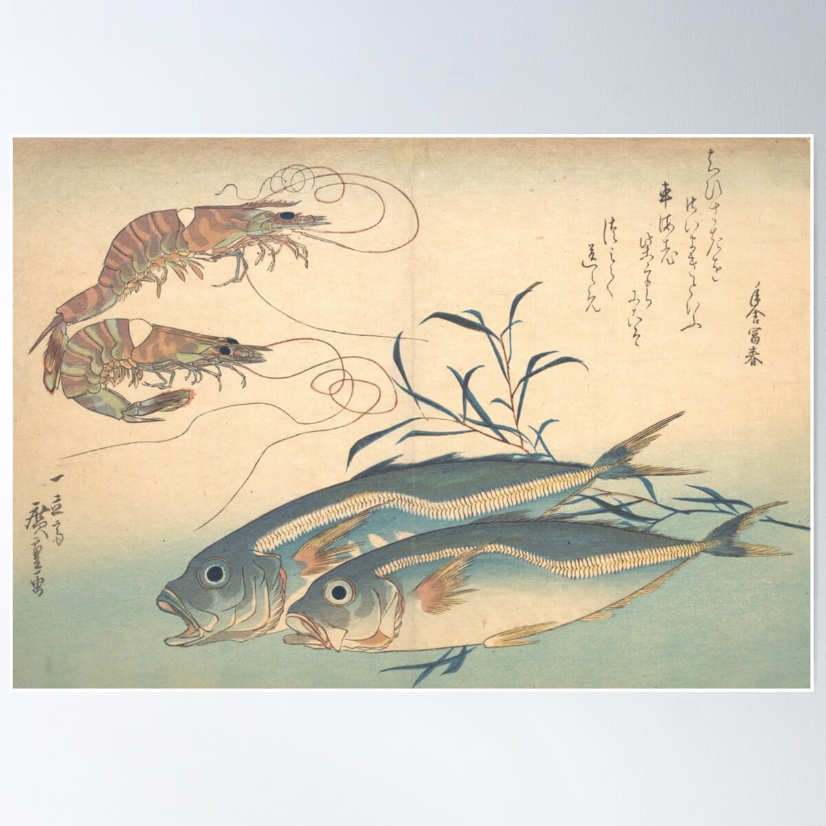 Aji Fish And Kuruma-Ebi, From The Series Uozukushi (Every Variety ...