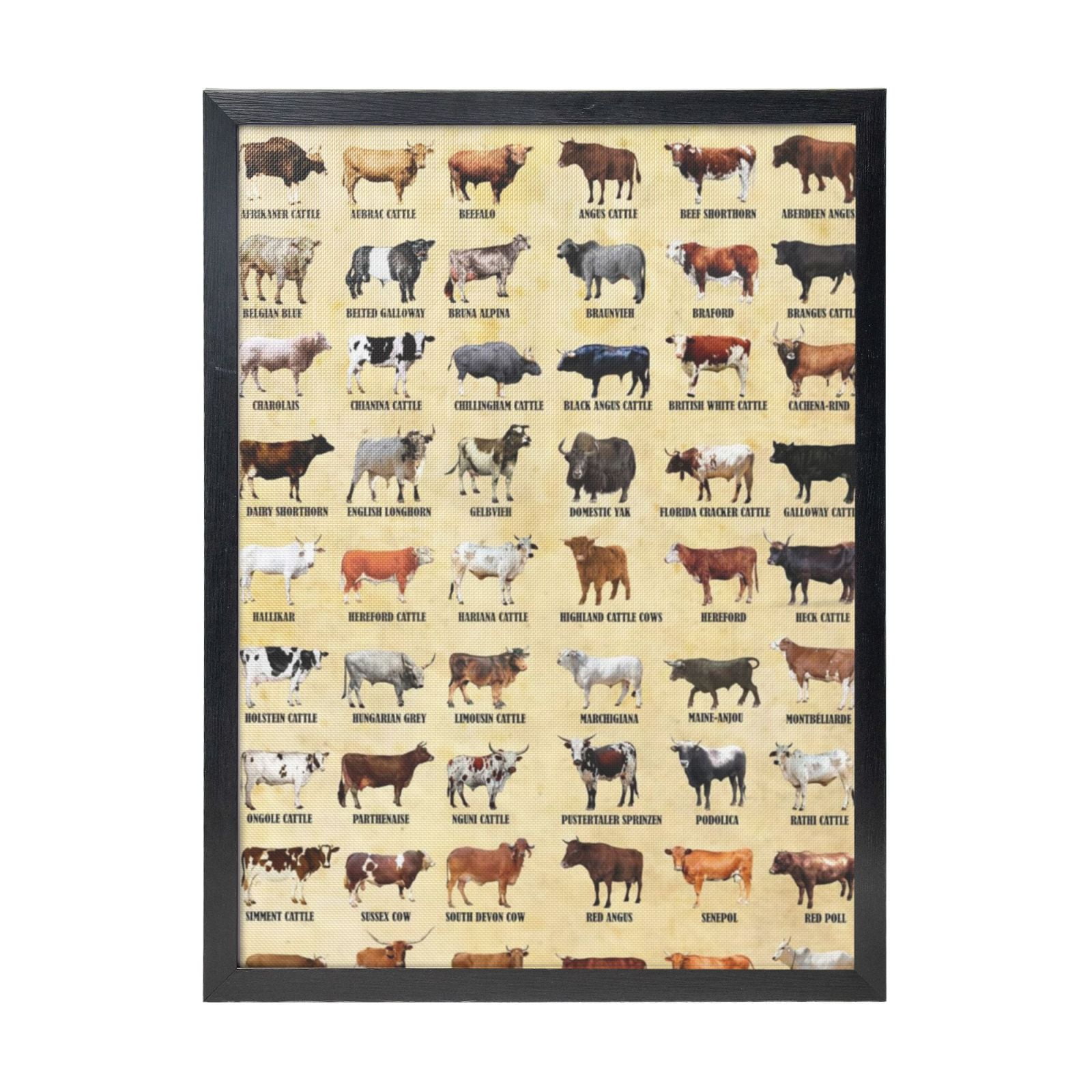 Akania Animal Cattle Breeds Poster, Farm Canvas Print, Highland Cow ...