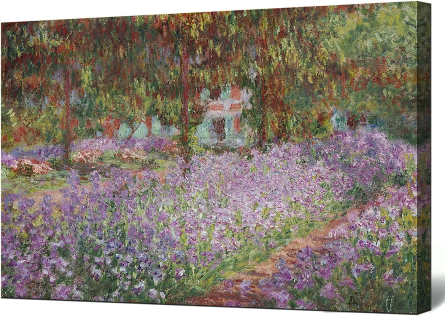 Akania Irises in Monet's Garden, 1900 by Claude Monet - Large Canvas ...