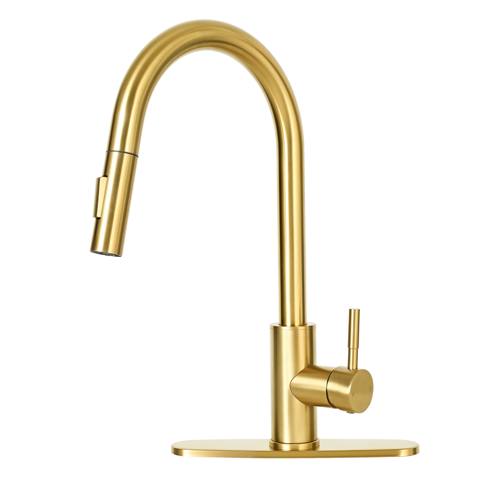 Akicon Kitchen Faucet with Pull Down Sprayer, Dual-Function Single ...
