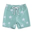Akiihool Toddler Boy Swim Suit Boys Swim Trunks Bathing Suit Swim ...