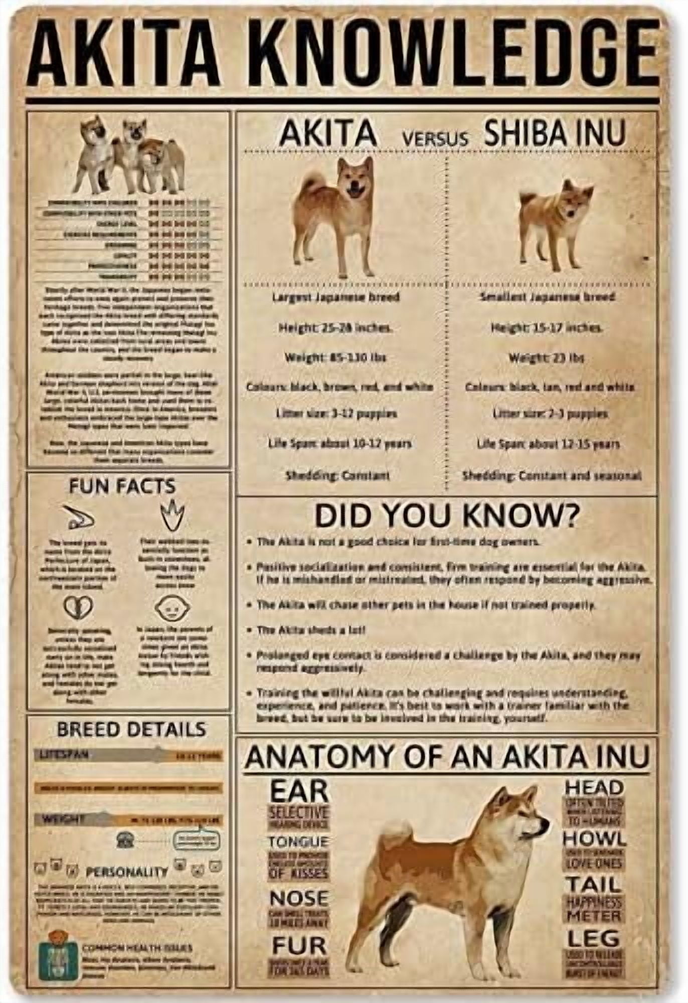 Akita Knowledge Metal Tin Sign Anatomy of an Akita Inu Poster Plaque ...