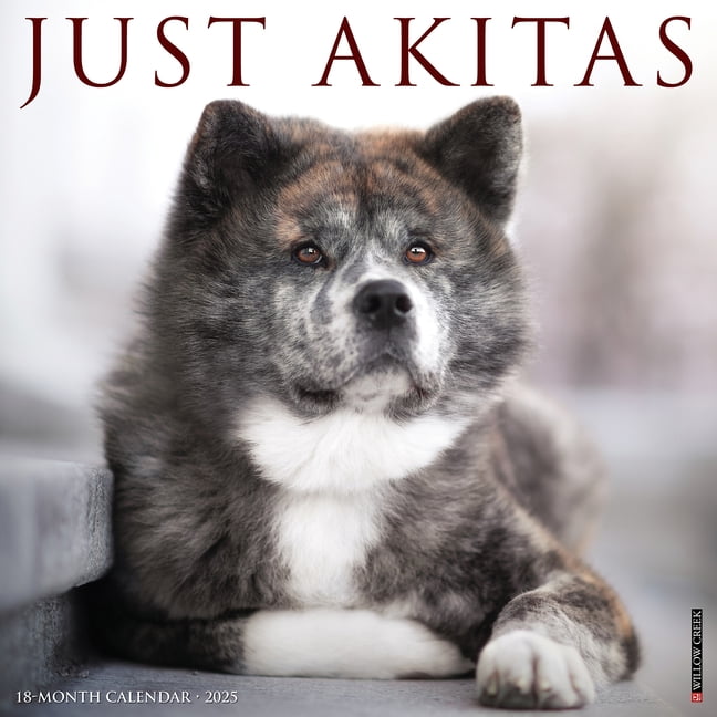 Akitas 2025 Wall Calendar - Walmart.com