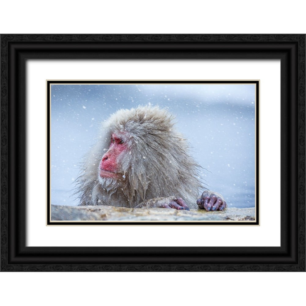 Aktas, Ozan 14x11 Black Ornate Wood Framed with Double Matting Museum ...