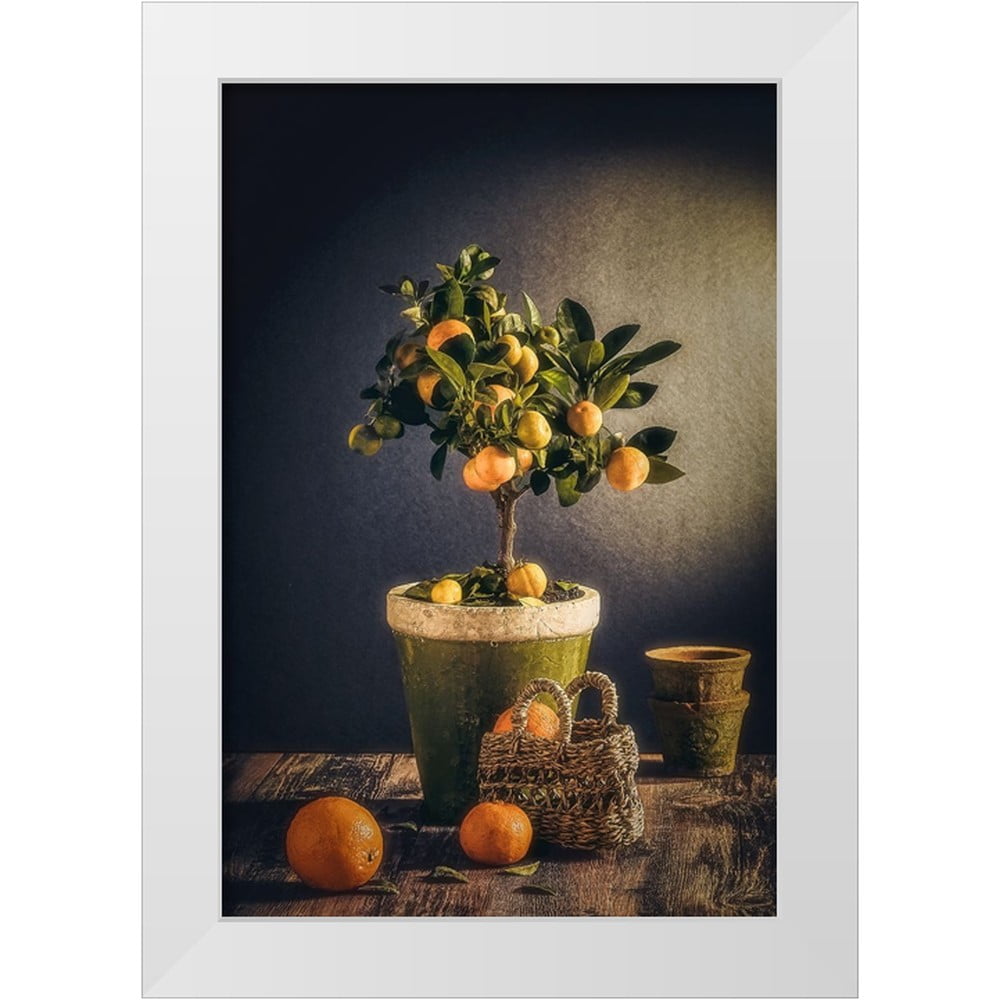 Al-Dien Mahmoud, Nour 11x14 White Modern Wood Framed Museum Art Print ...