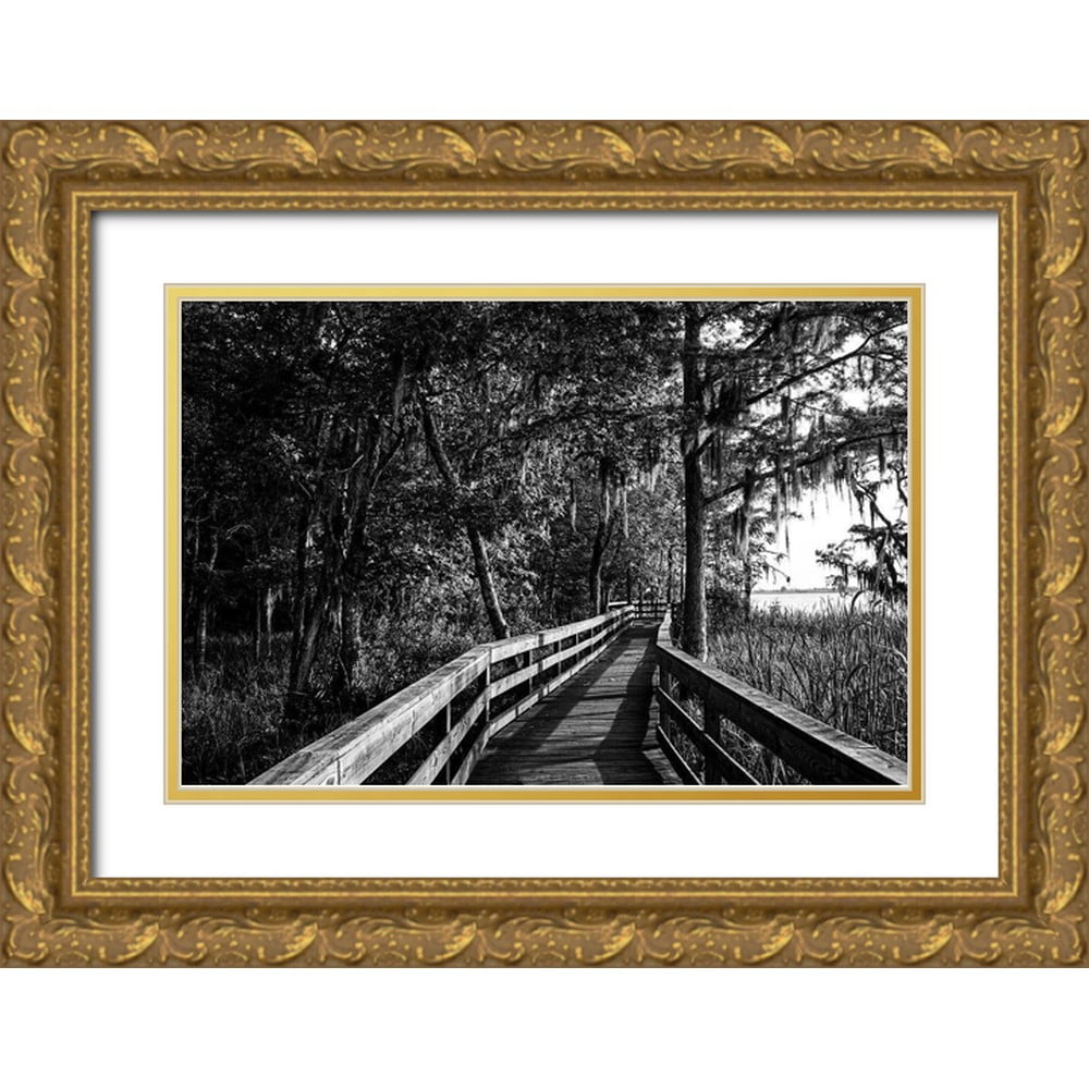 Alabama Picture Archive 24x17 Gold Ornate Wood Framed with Double ...