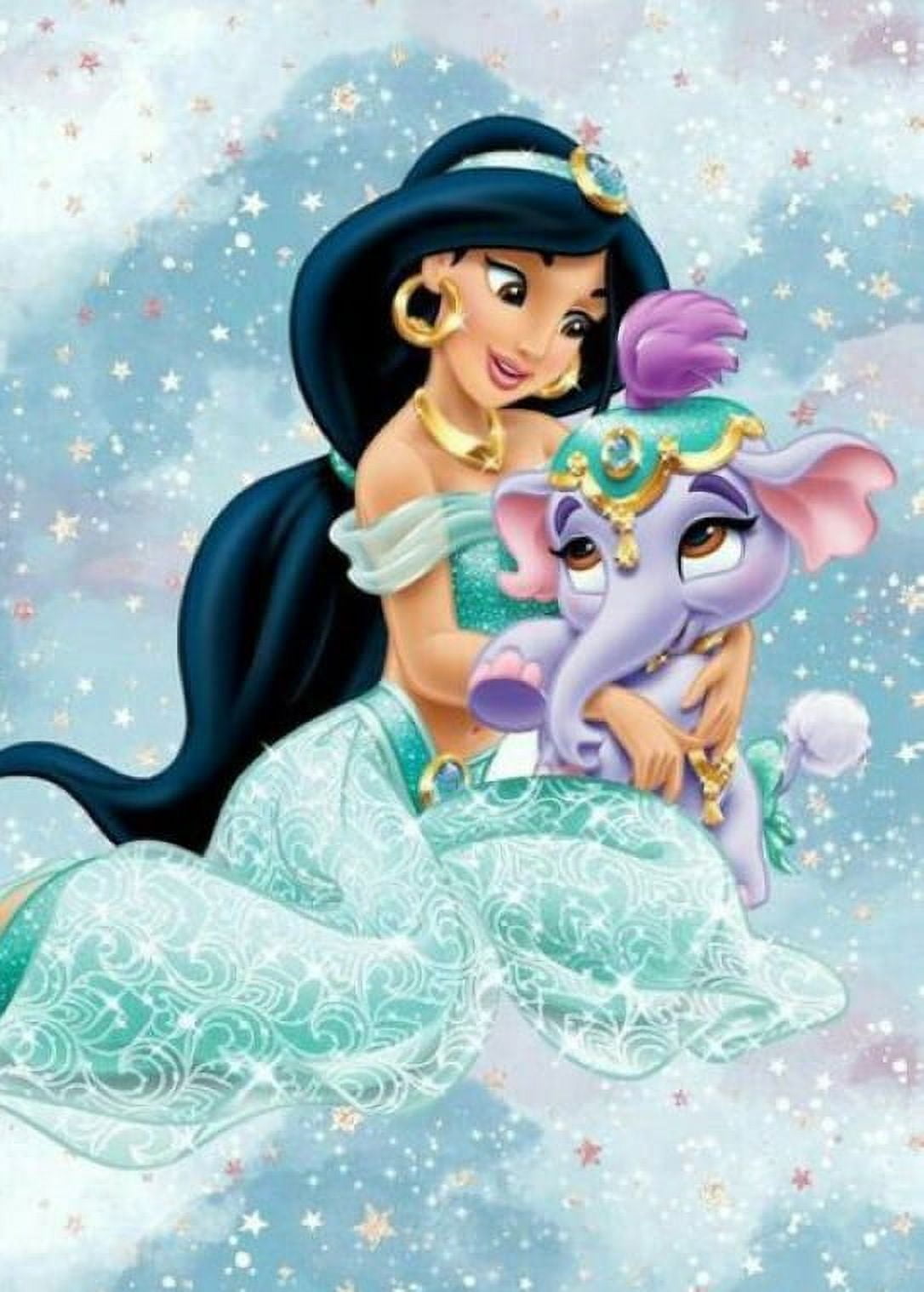 Aladdin DIY 5D Diamond Art Painting Kits Princess Jasmine Diamond Art ...