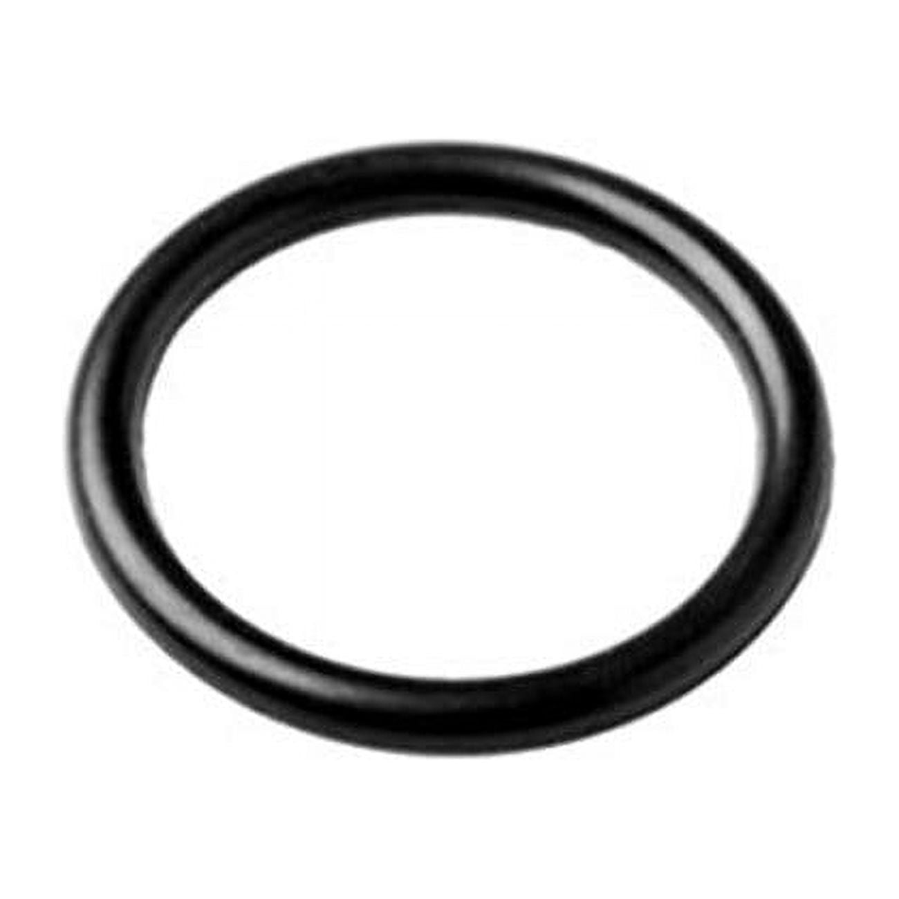 Aladdin O125 O-Ring Replacement for O-125 Pool O-Ring - Walmart.com