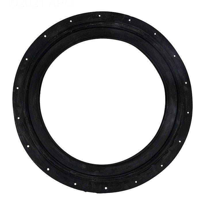 Aladdin G-351 Replacement DE Filter Diaphragm Gasket - Walmart.com
