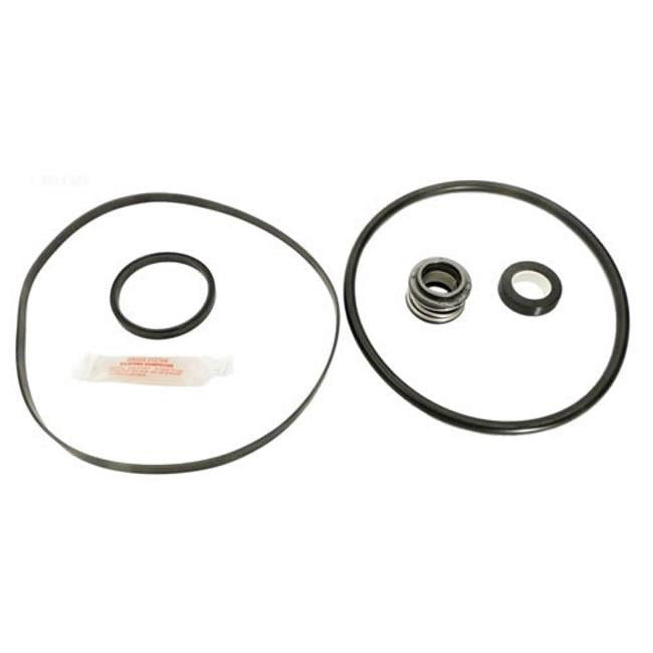 Aladdin GOKIT2 Pool Pump Seal Repair Kit for Hayward Super - Walmart.com