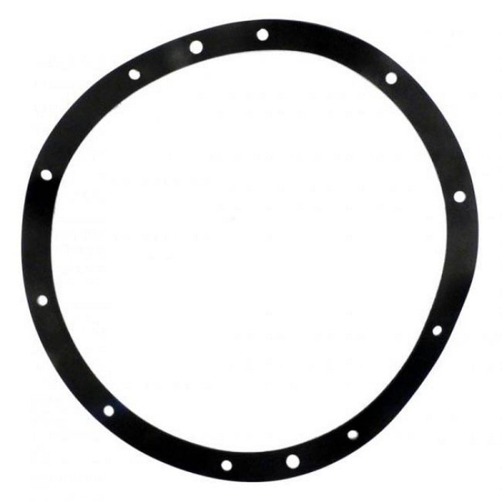 Pool Pump Gaskets