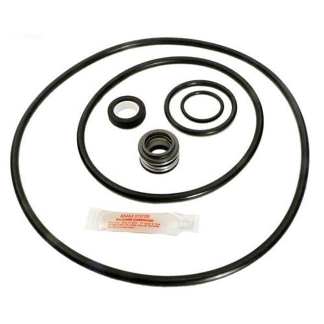 Aladdin Go-Kit 79V, Max-E-Pro, Viton - Walmart Business Supplies