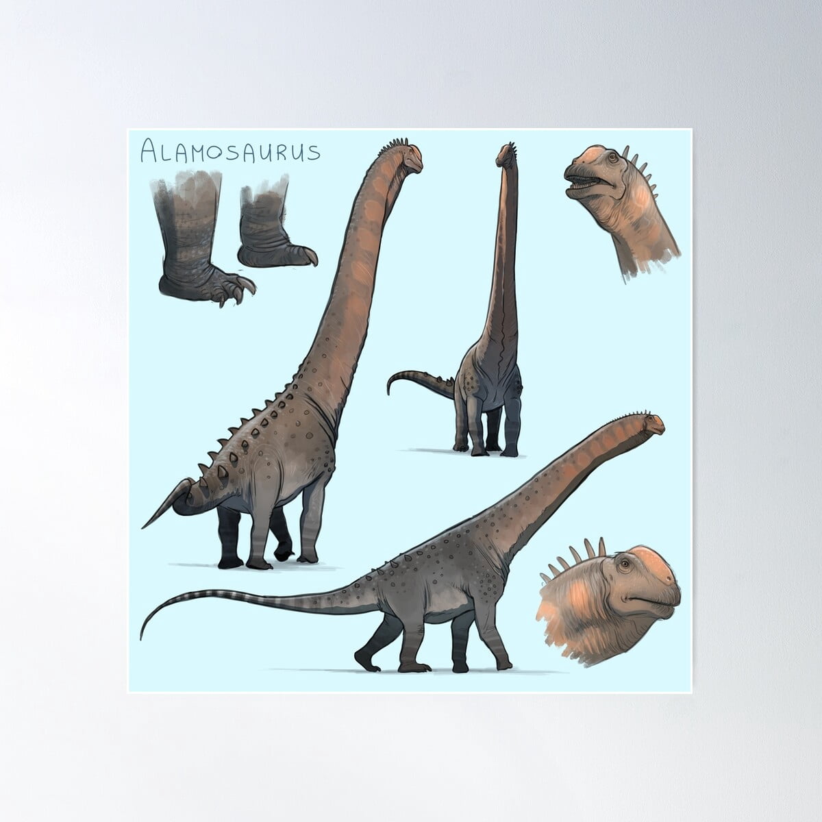 Alamosaurus Anatomical Study: Exploring Prehistoric Structure Poster ...