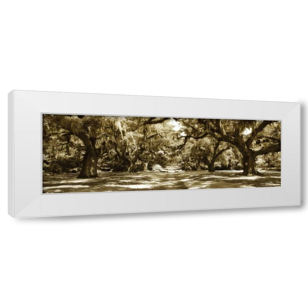 Alan Hausenflock 18x9 White Modern Wood Framed Wall Art Titled - Druid ...