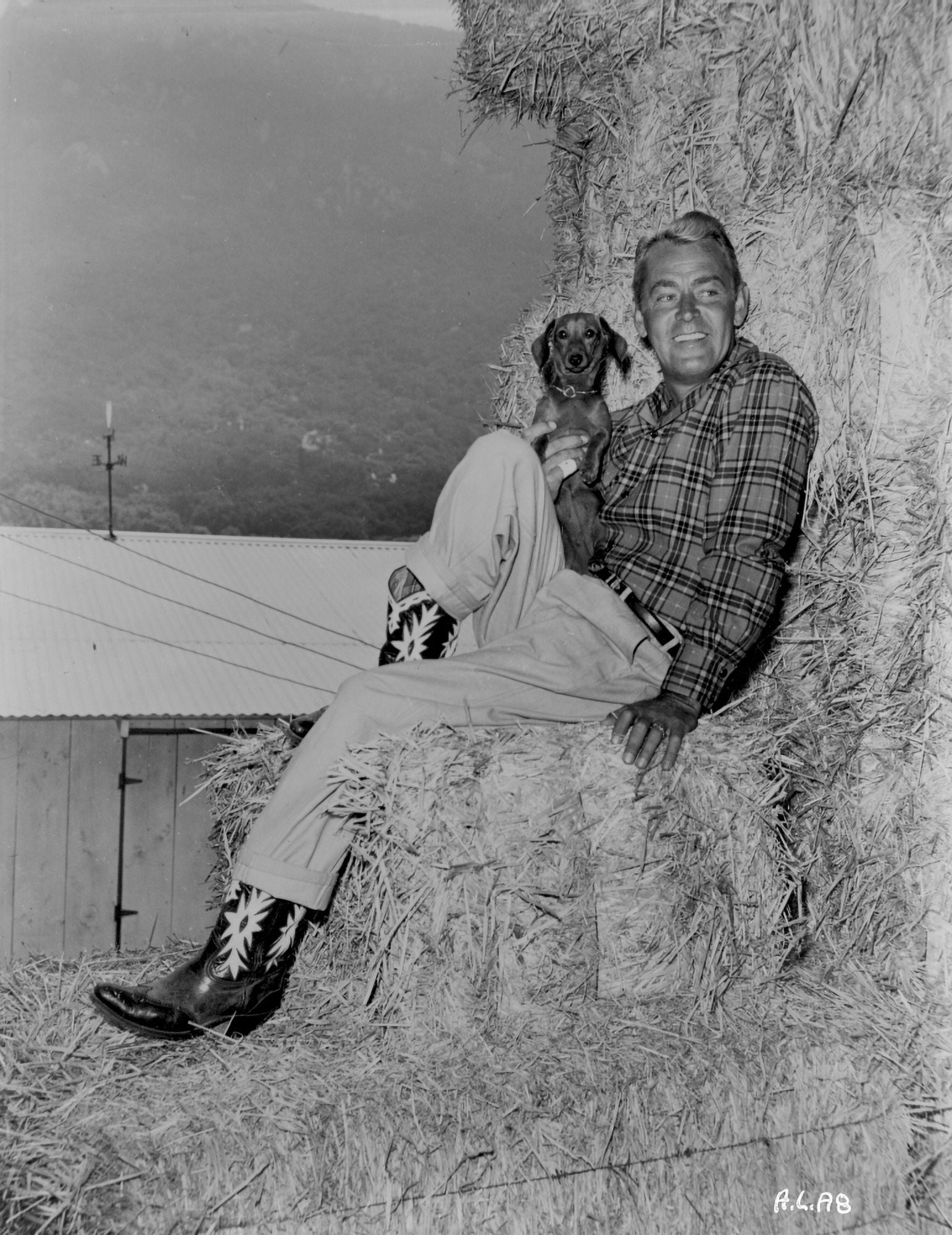 Alan Ladd sitting on a Hay Stack with a Dog in Black and White Portrait ...