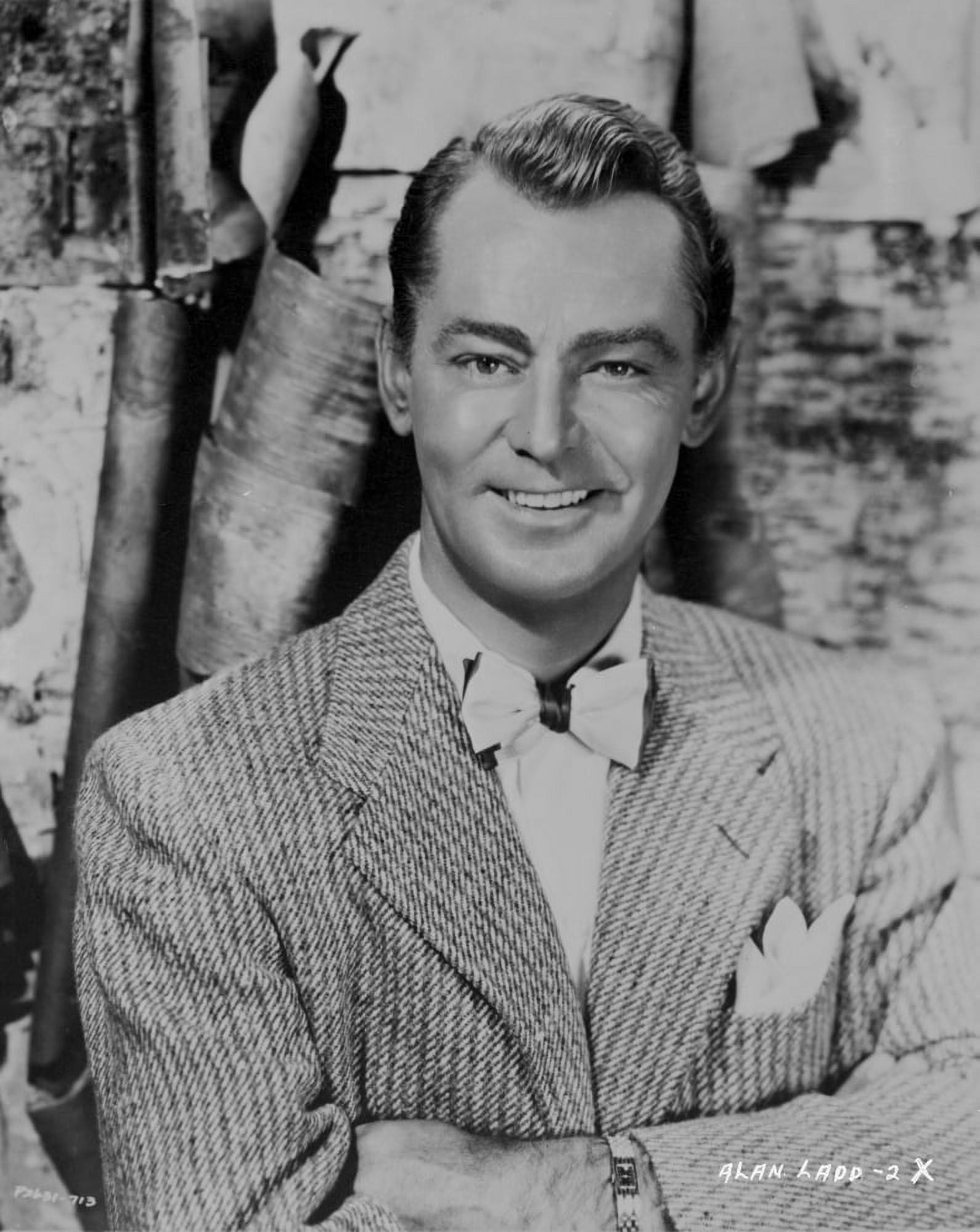 Alan Ladd smiling and wearing a Striped Suit Portrait in Classic Photo ...