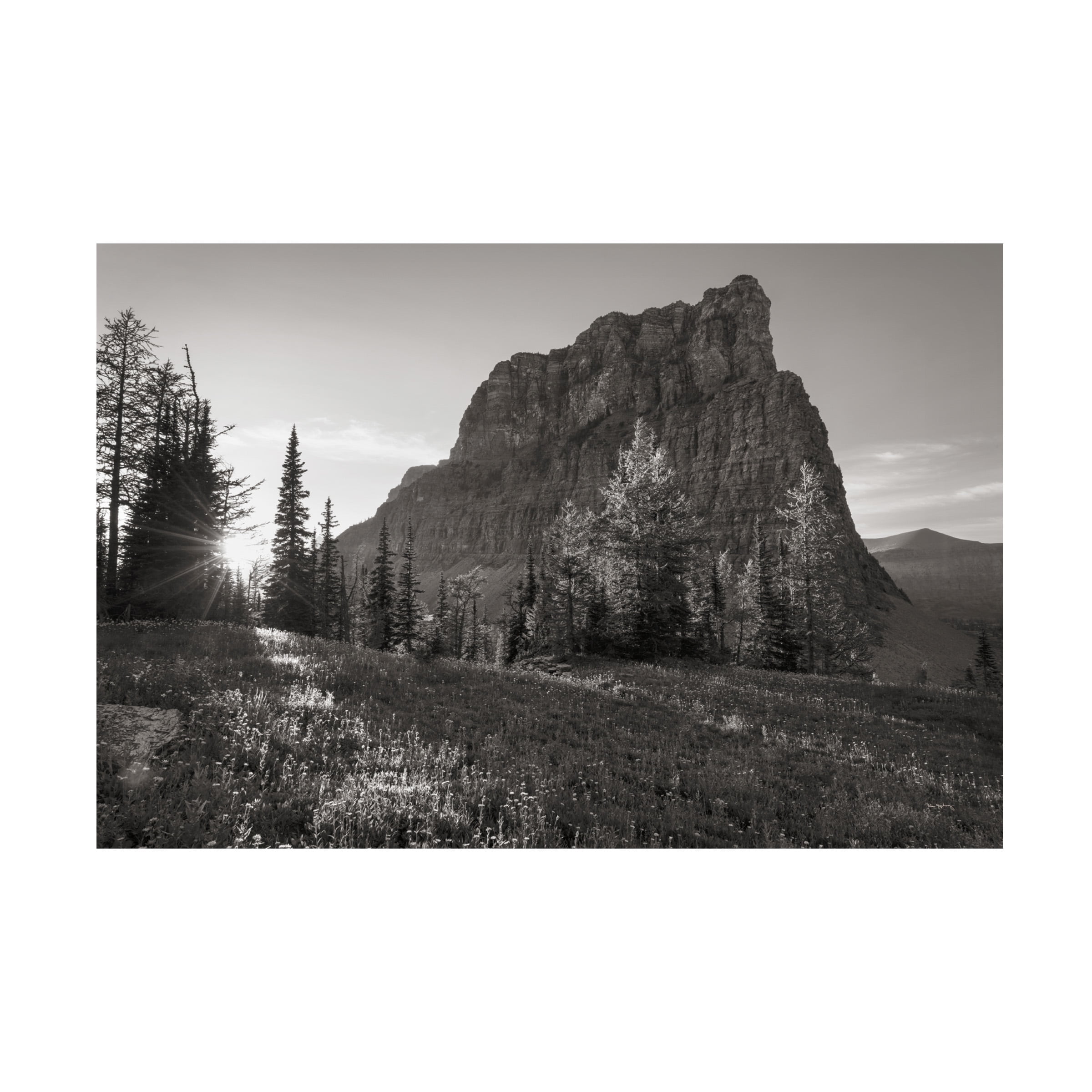 Alan Majchrowicz 'Boulder Pass Glacier National Park BW' Canvas Art ...