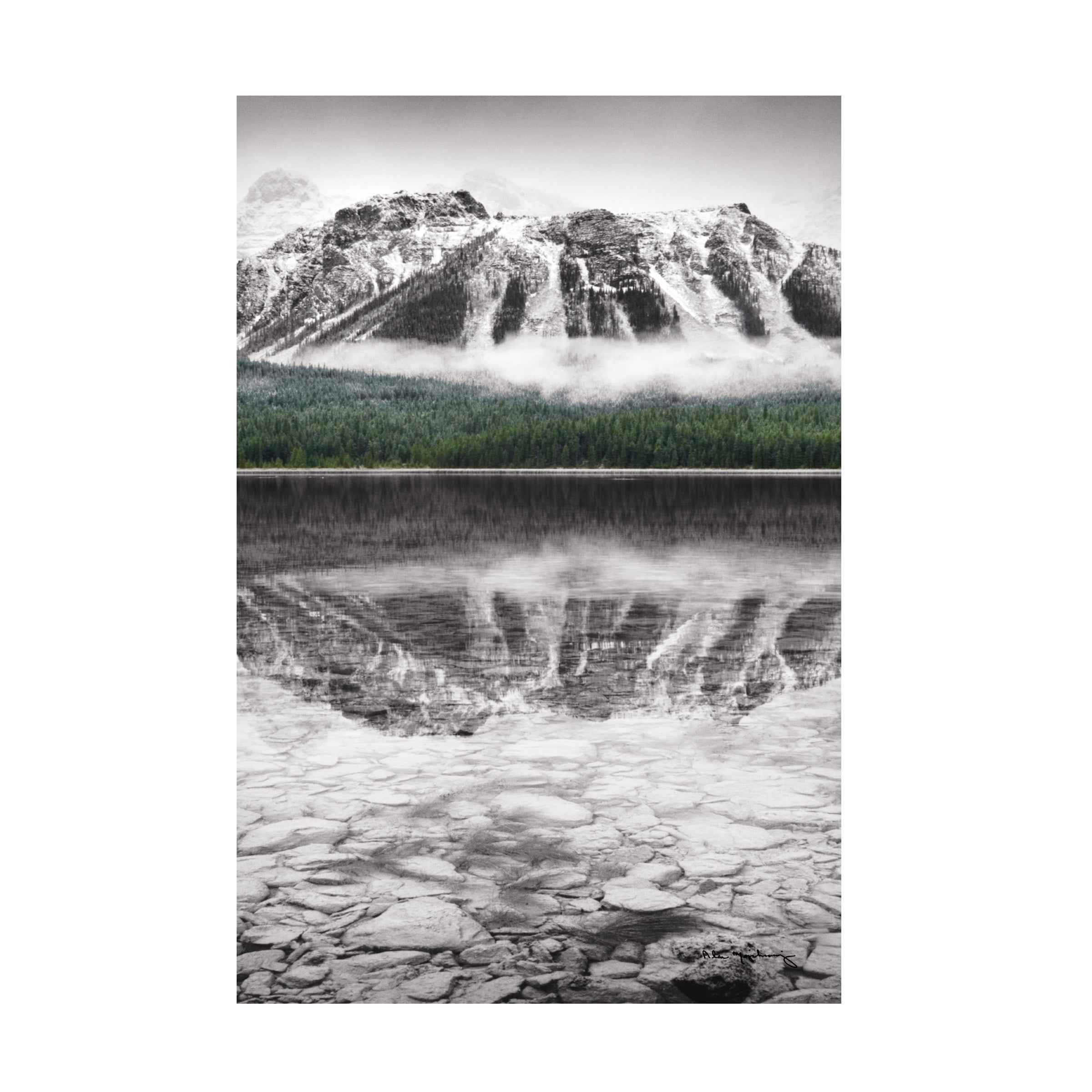 Alan Majchrowicz 'Waterfowl Lake Panel II BW with Color' Canvas Art ...