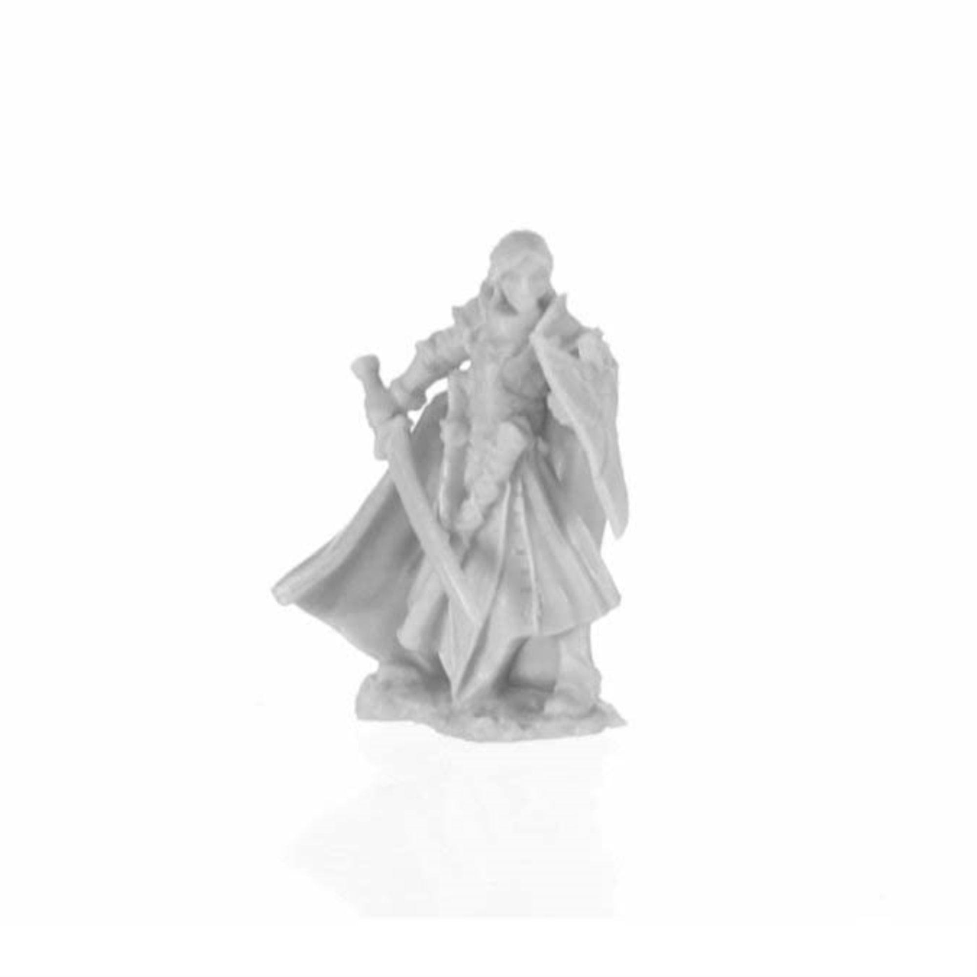 Alandin Elf Paladin Miniature 25mm Heroic Scale Figure Dark Heaven ...